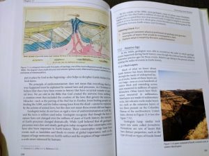 Novare Science & Math - Earth Science (Review) - Real And Quirky