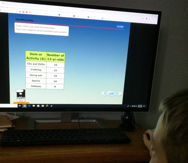 Math-Whizz Math Tutor Subscription Review - Real And Quirky