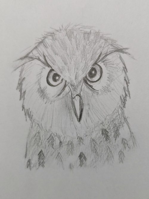 Creating a Masterpiece Drawing Program Review - Real And Quirky